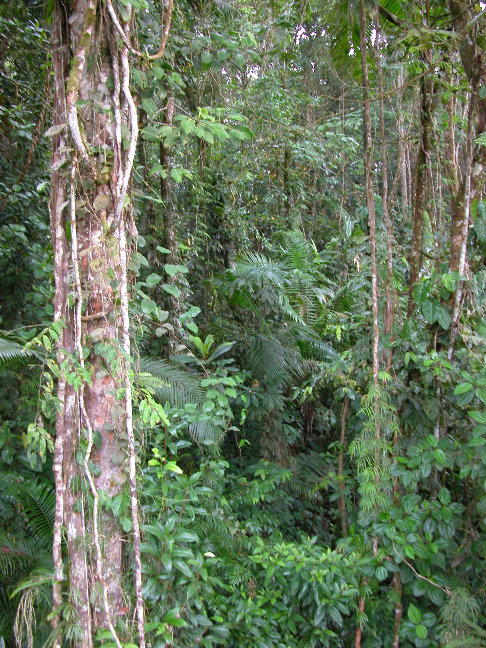 Home [www.markus-raab.org]